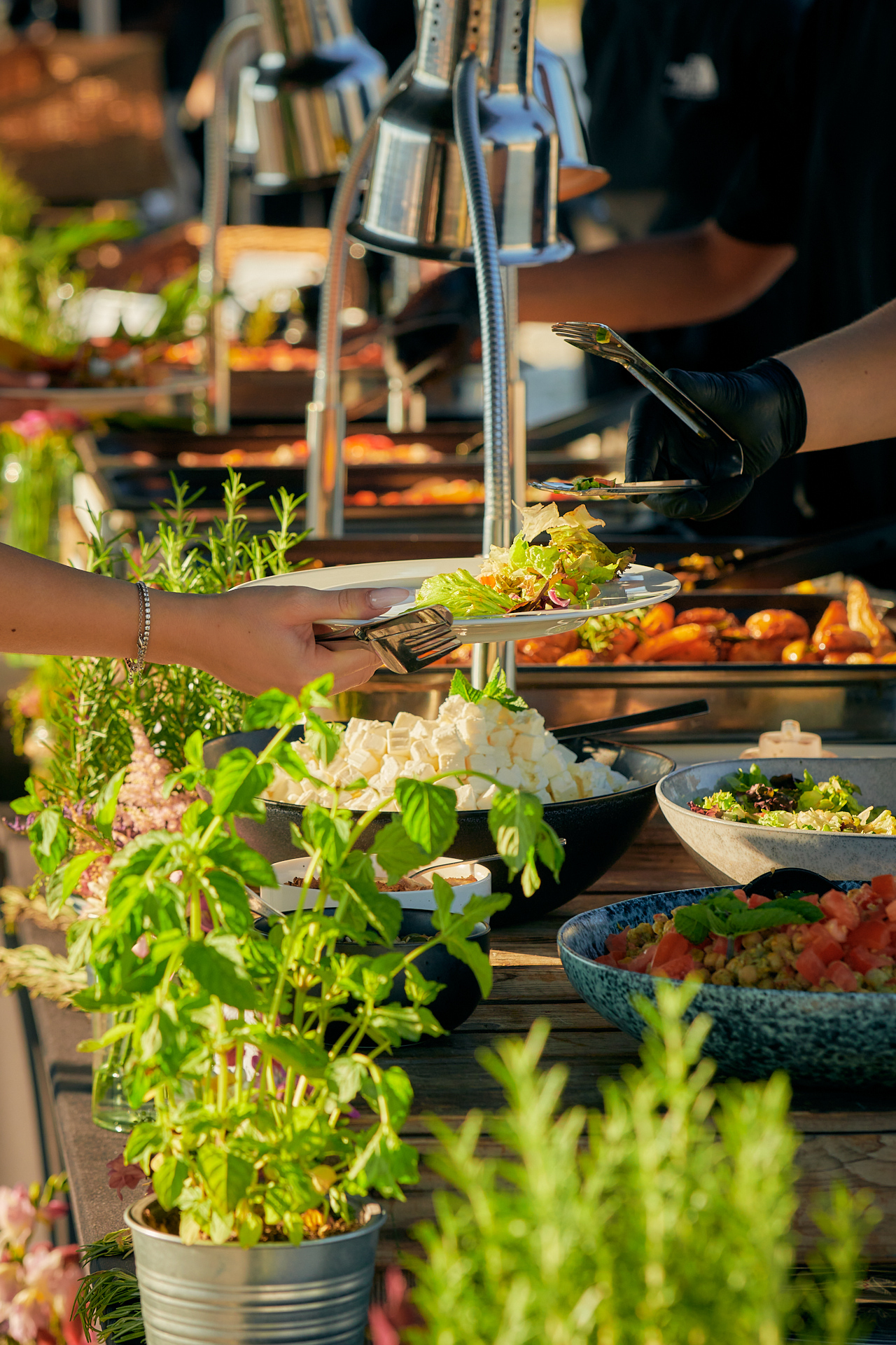 Glanz & Gorilla Catering